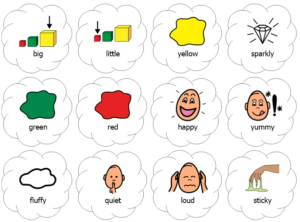 » Colourful Semantics Introductory Training Course Video